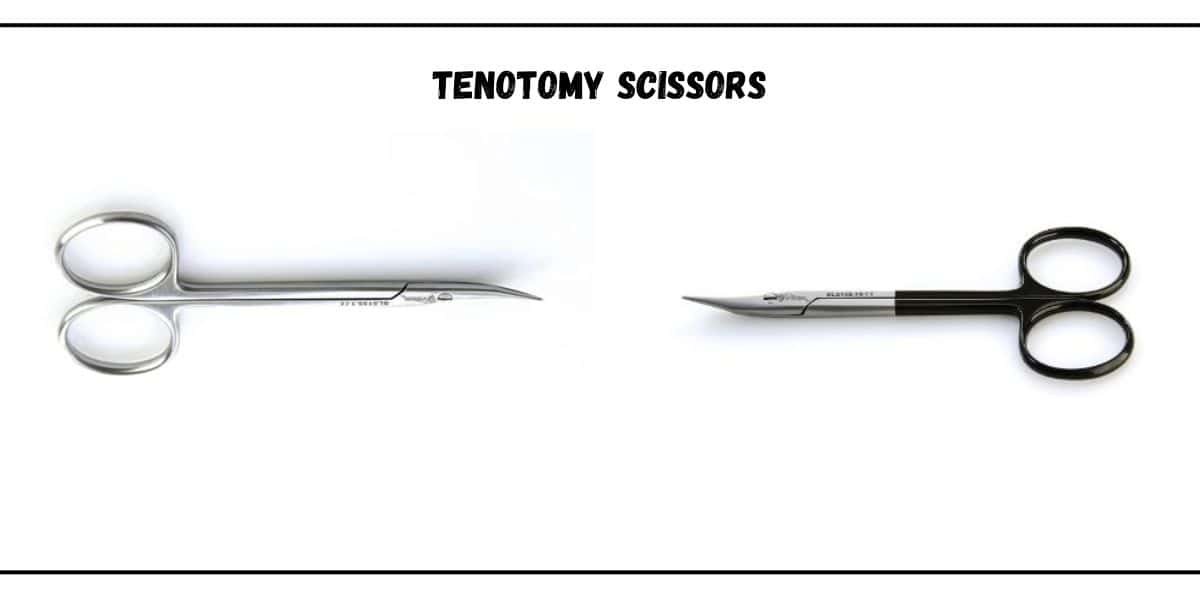10 Most Common Types of Surgical Scissors & Their Uses